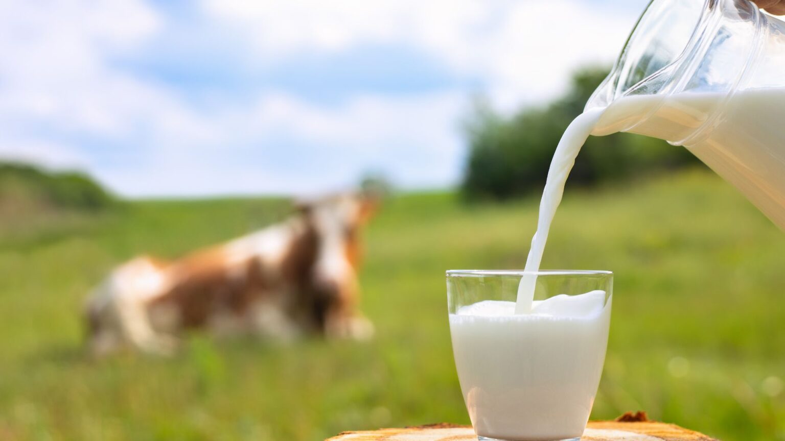 Ce qu’il faut savoir sur tous les différents types de lait! - Mon Poids ...